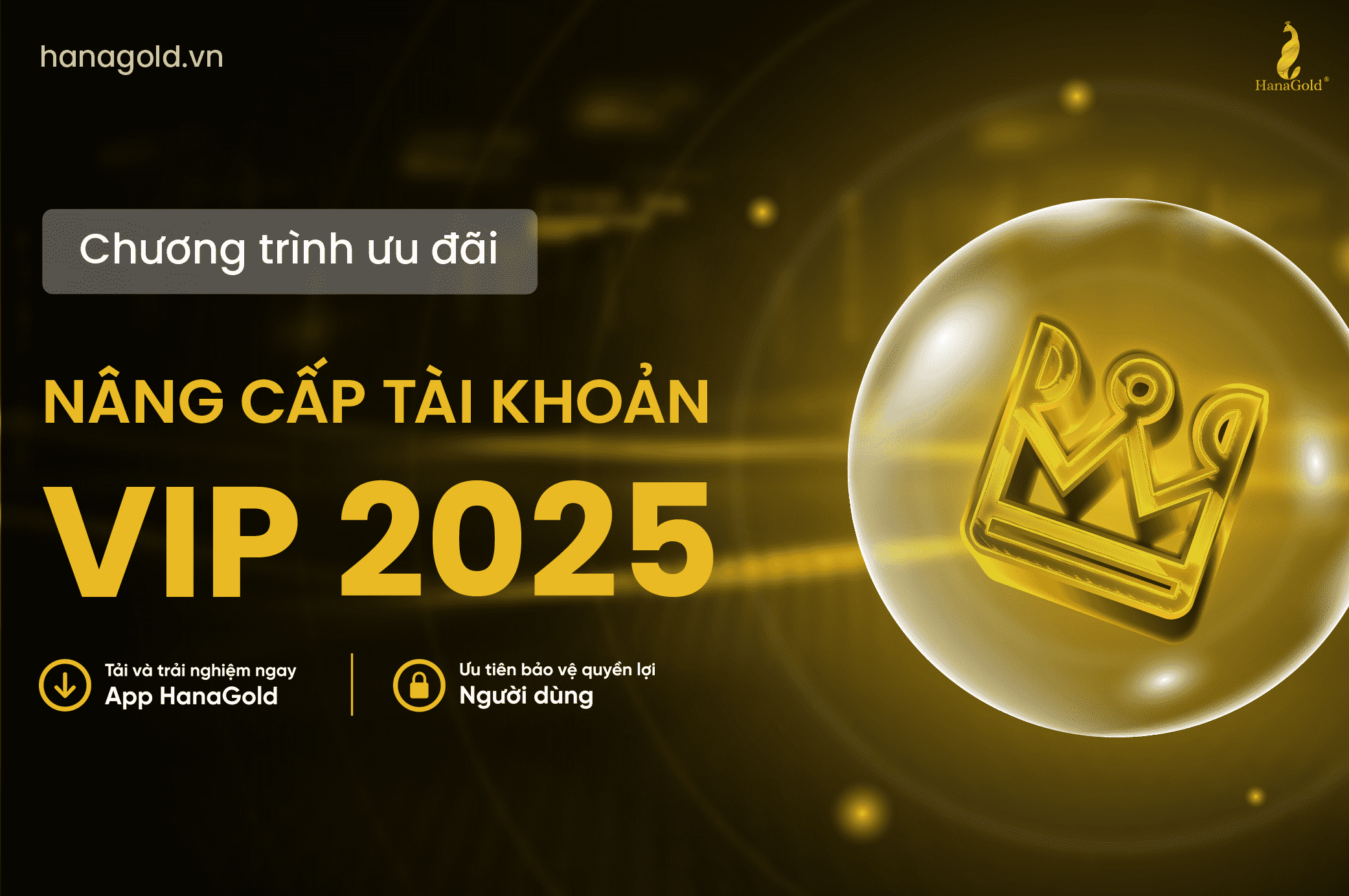 CHƯƠNG TRÌNH NÂNG CẤP VIP MIỄN PHÍ 2025